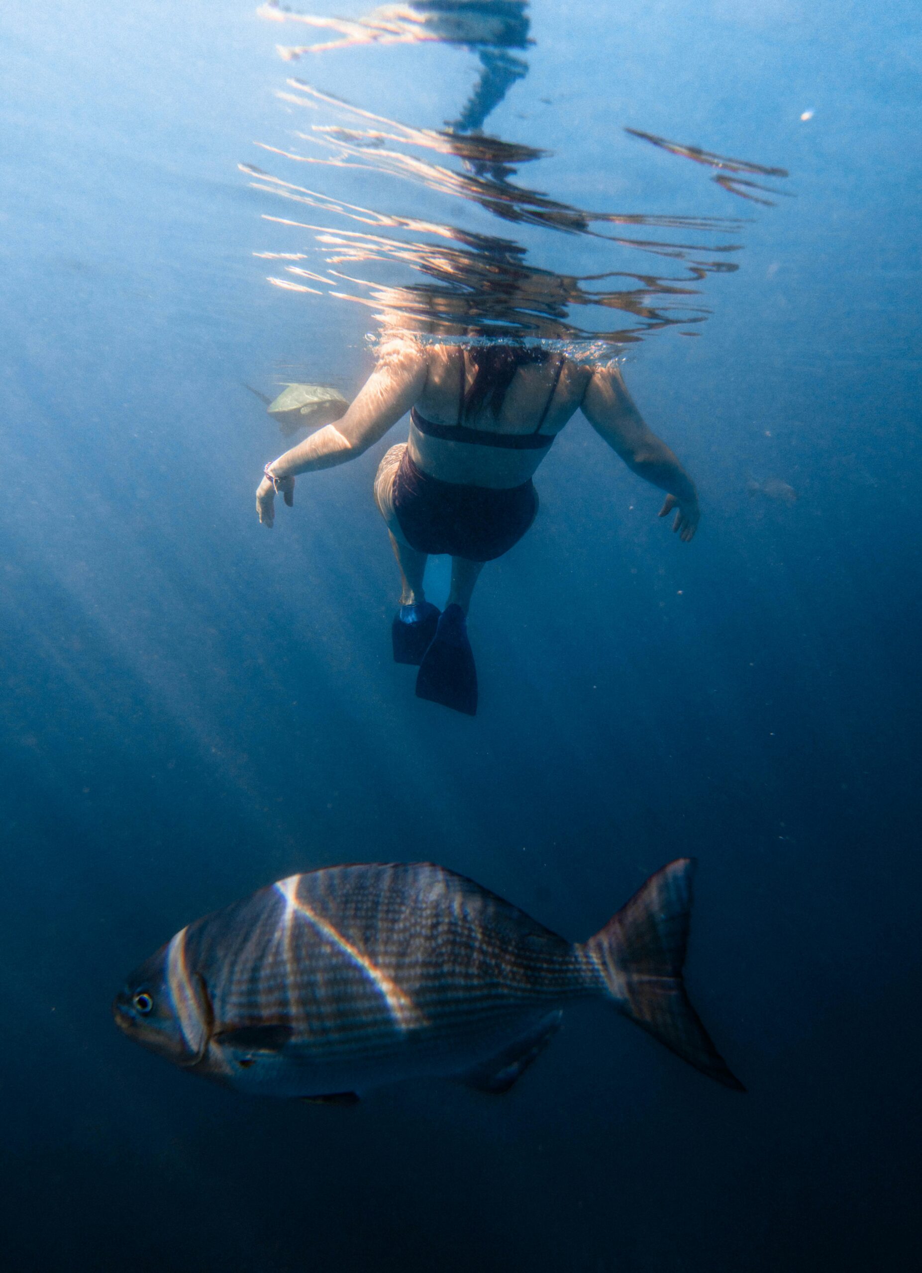 Bring snorkel gear. The eastern and western ends have rocky areas where ...